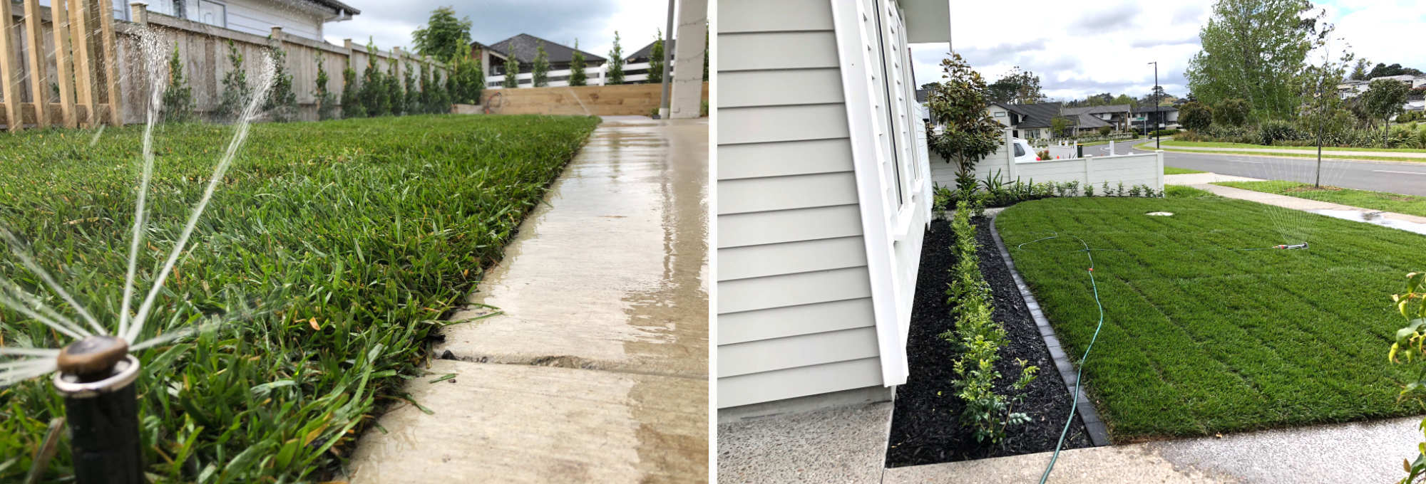 Hydroseeded lawns North Shore | New instant turf lawns Orewa