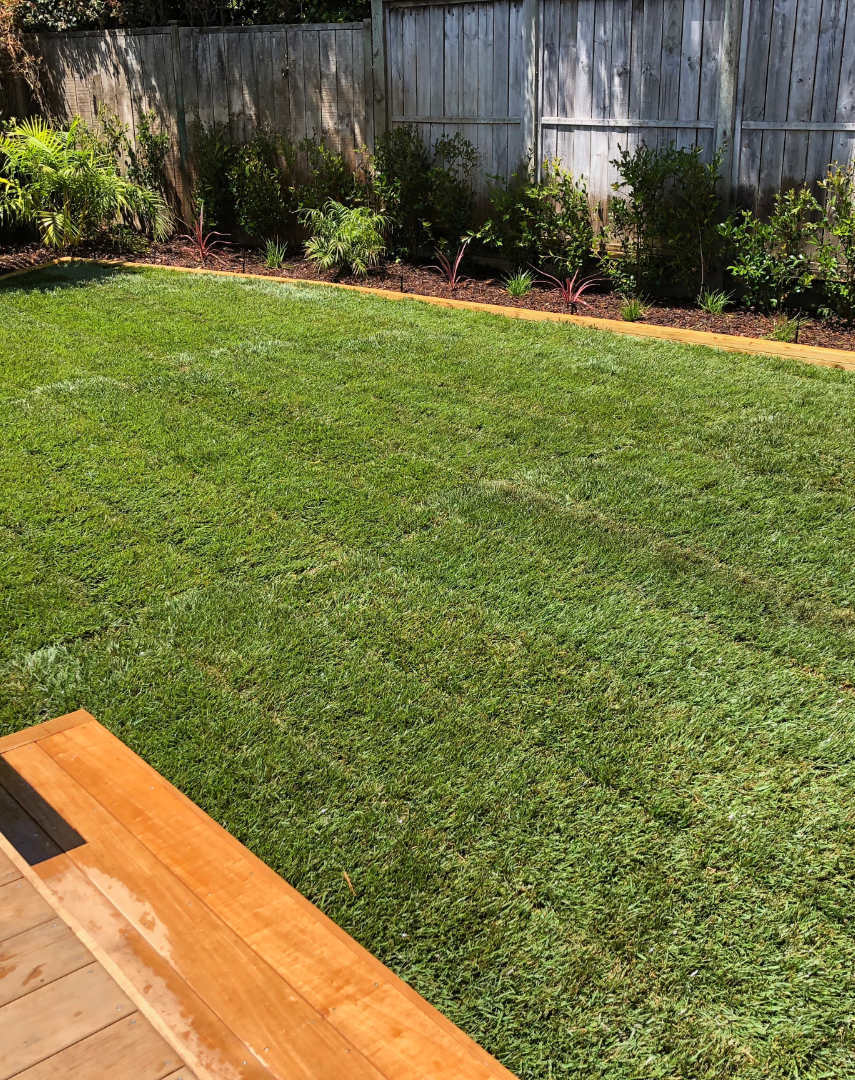 Hydroseeded lawns North Shore | New instant turf lawns Orewa